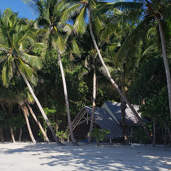 Misool Foundation Update – WildLife Canada Society